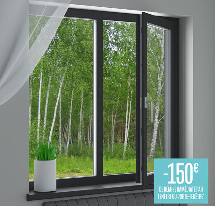 Fenêtres - Weigerding